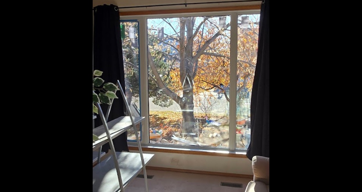 What Are Ecoline Windows Reviews in Edmonton?