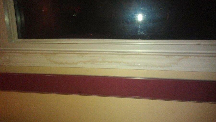 Leaking Windows When It Rains: What To Look Out For