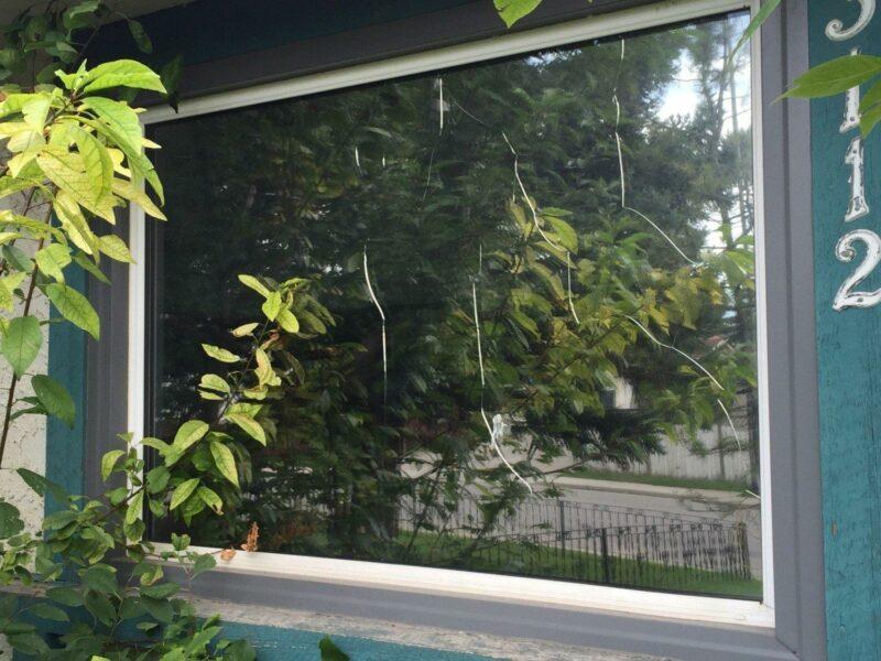 Windows Losing Heat. Why It Happens, and How to Stop It