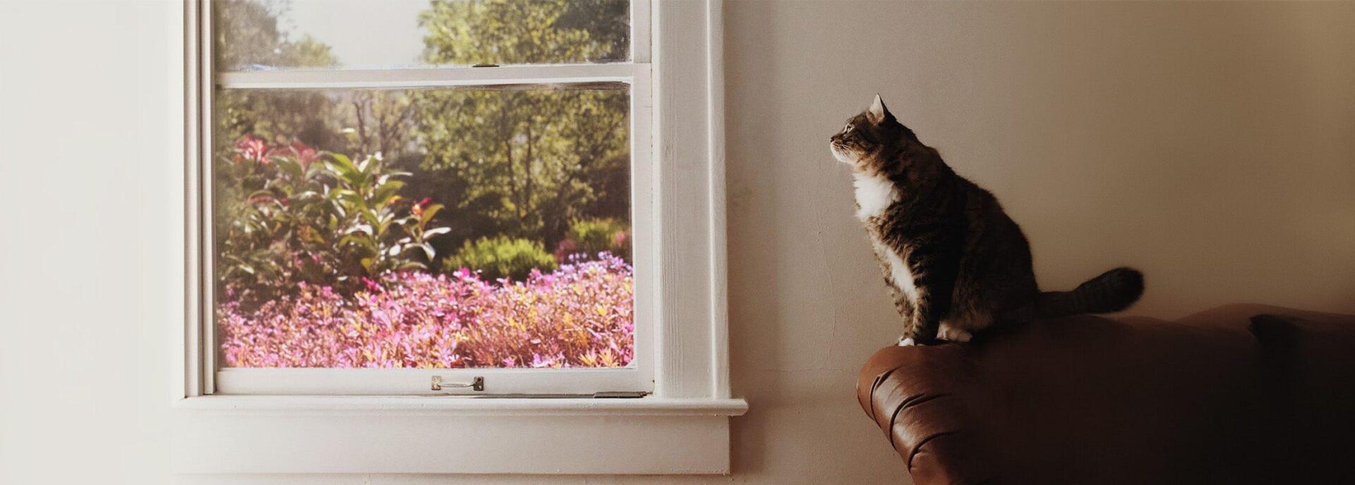 Retrofit vs. Full Frame Window Replacement – What's Better?