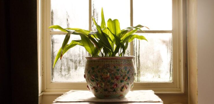 Common Window Issues and How to Fix Them | Ecoline Windows