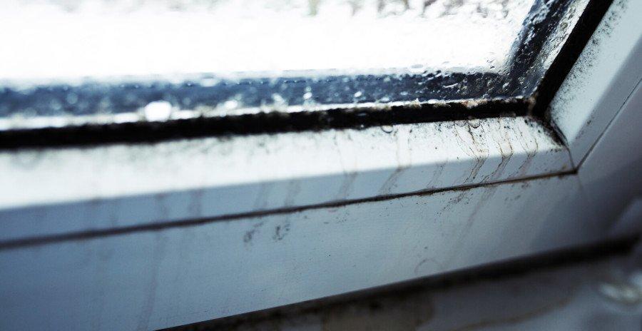 Leaking Windows When It Rains: What To Look Out For