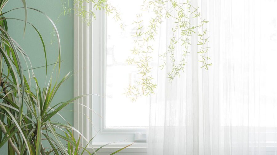 Blog - Ecoline Windows